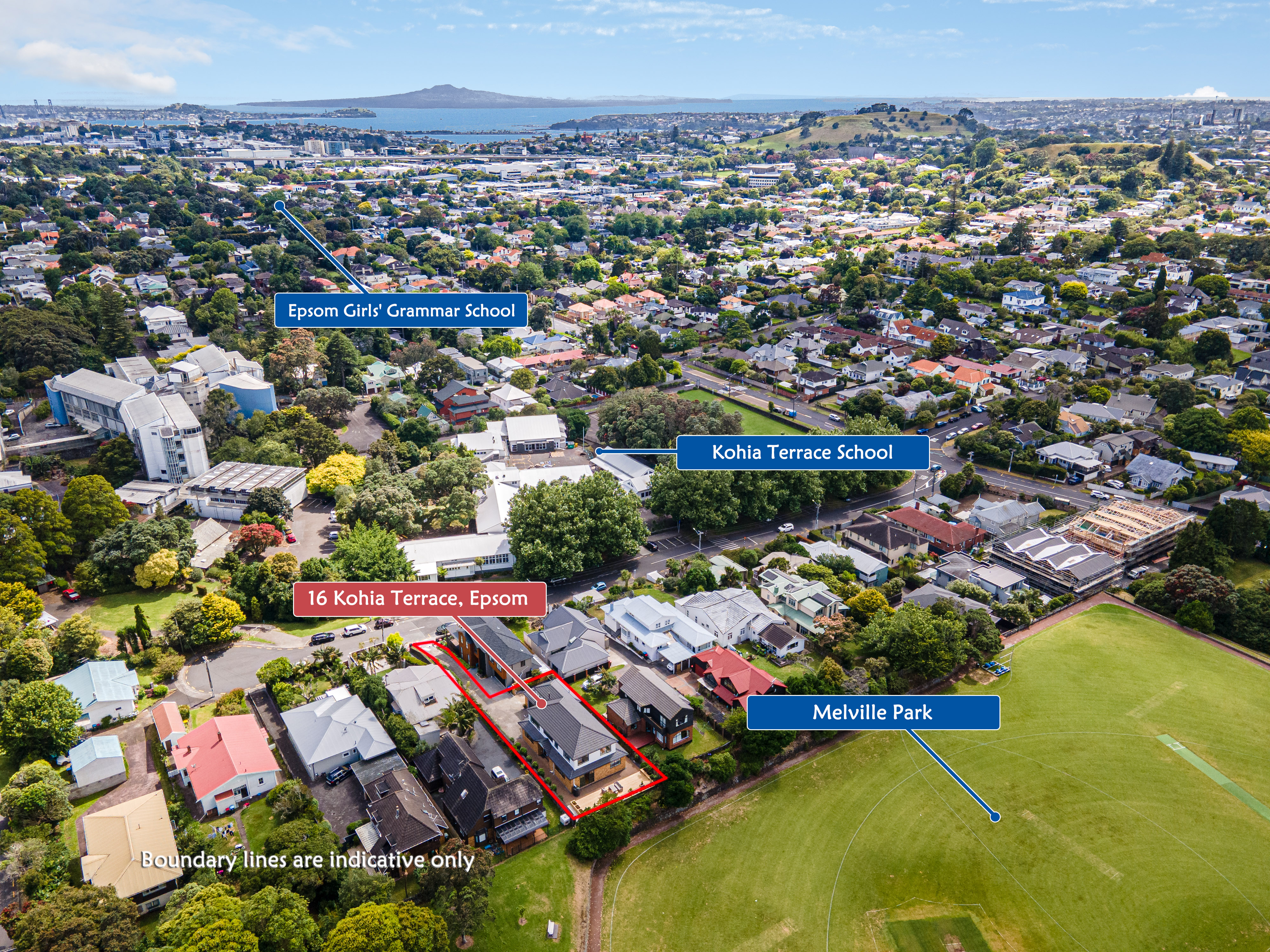 16 Kohia Terrace - RMU36599 - Ray White Remuera